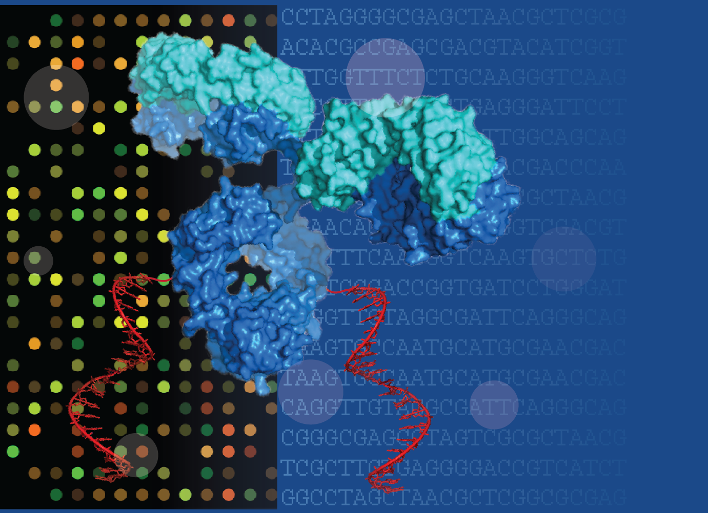 Proximity Assay Conjugation with oYo-Link® | AlphaThera Proximity Assay Conjugation with oYo-Link® | AlphaThera