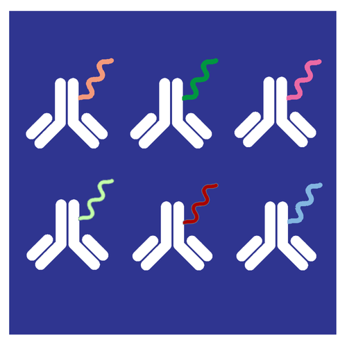 Conjugation Methods Comparison | AlphaThera Conjugation Methods Comparison | AlphaThera