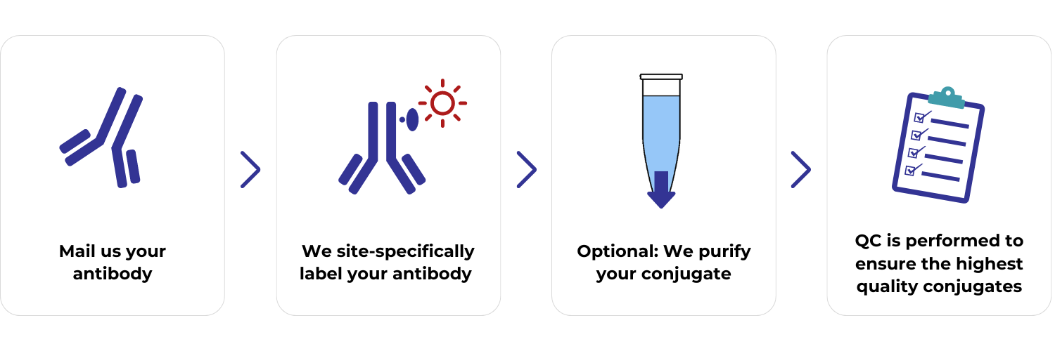 Enzyme Conjugation Services - AlphaThera Enzyme Conjugation Services - AlphaThera