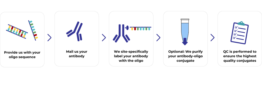 Antibody-Oligonucleotide Conjugation Service - AlphaThera Antibody-Oligonucleotide Conjugation Service - AlphaThera